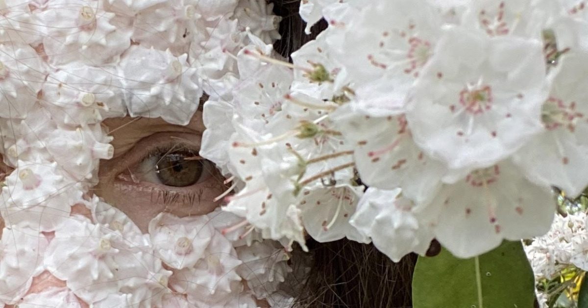 Face Nature - Space p11